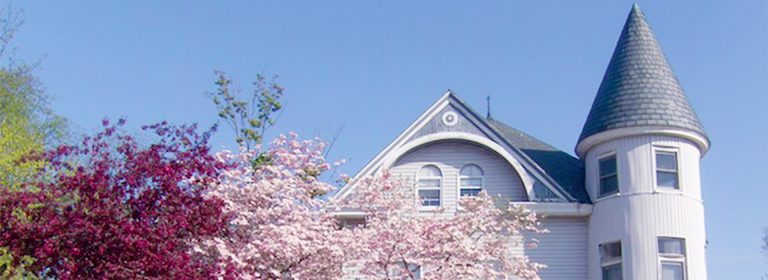 Gray House Home - The Gray House